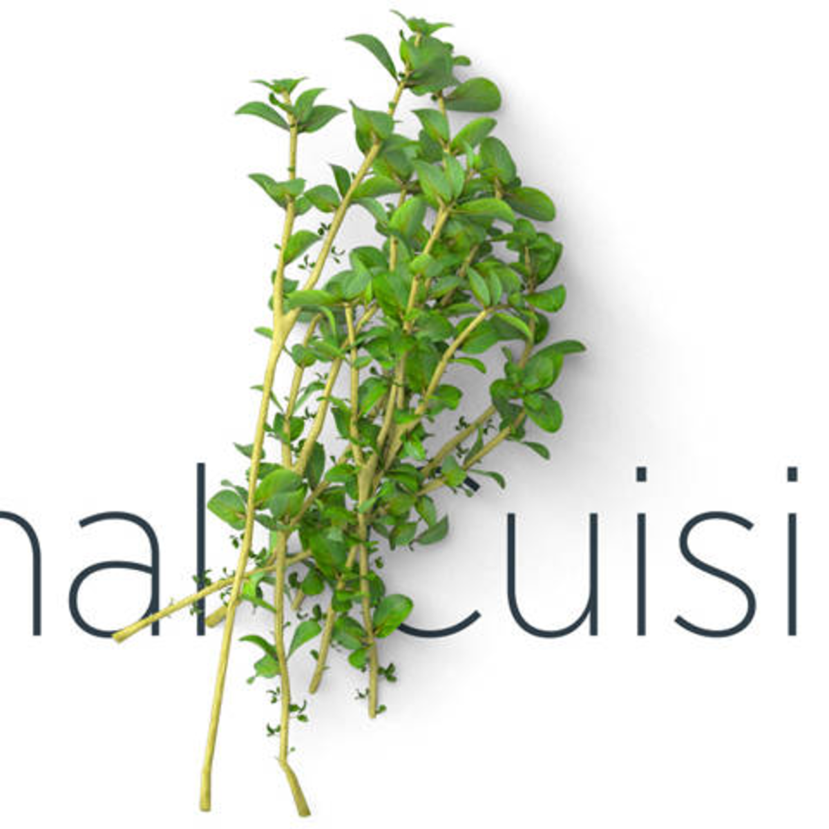 Work | Hominid Studio